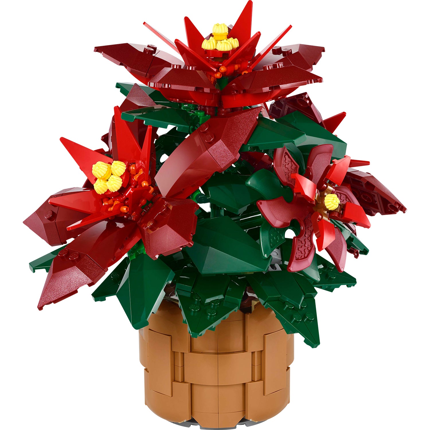 LEGO® ICONS™ Poinsettia – AG LEGO® Certified Stores