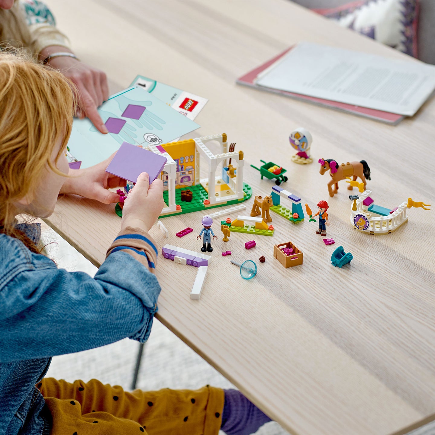 LEGO® Friends™ Horse Training – AG LEGO® Certified Stores