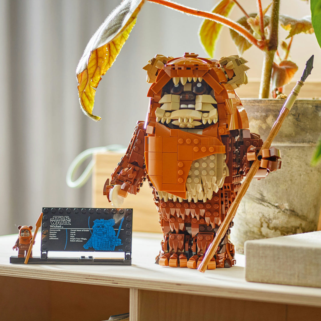 LEGO® Star Wars™ Wicket the Ewok™ – AG LEGO® Certified Stores