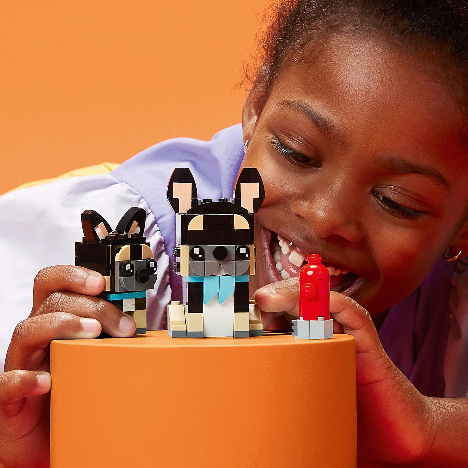 LEGO® BrickHeadz™ French Bulldog – AG LEGO® Certified Stores